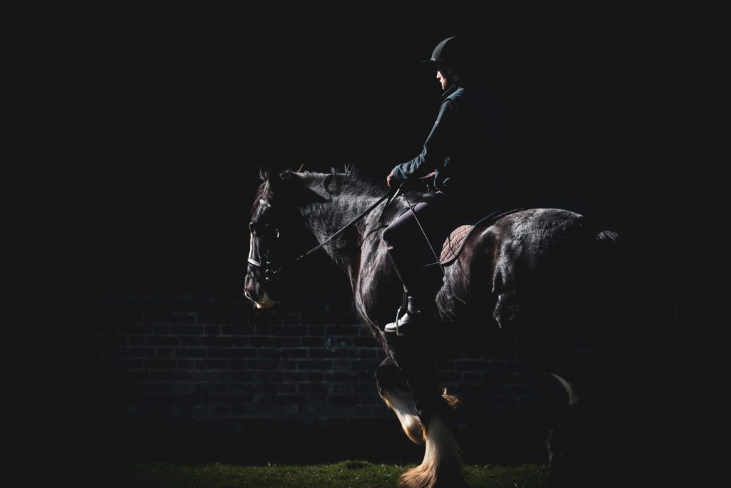 Equus.tv – The equestrian lifstyle.