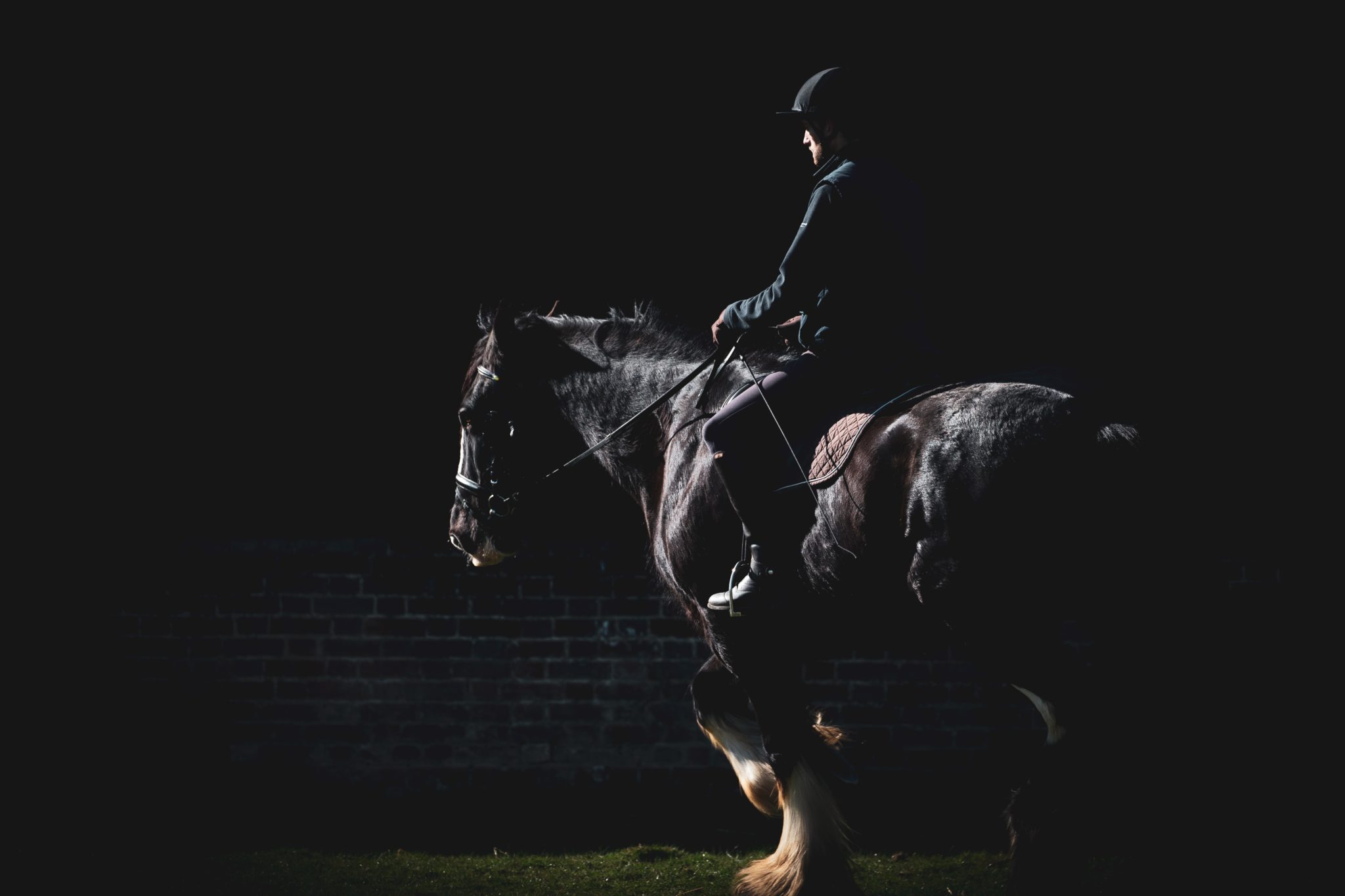 Equus.tv – The equestrian lifstyle.