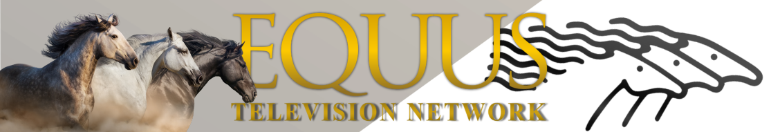 Equus.tv – The equestrian lifstyle.