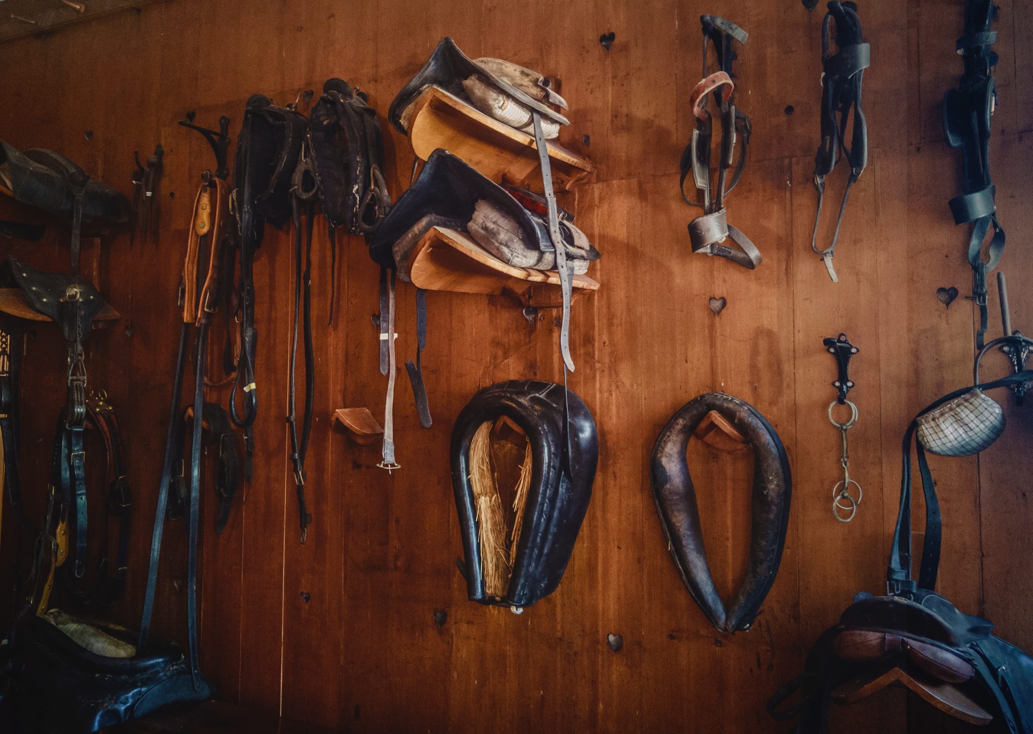 Equus.tv – The equestrian lifstyle.