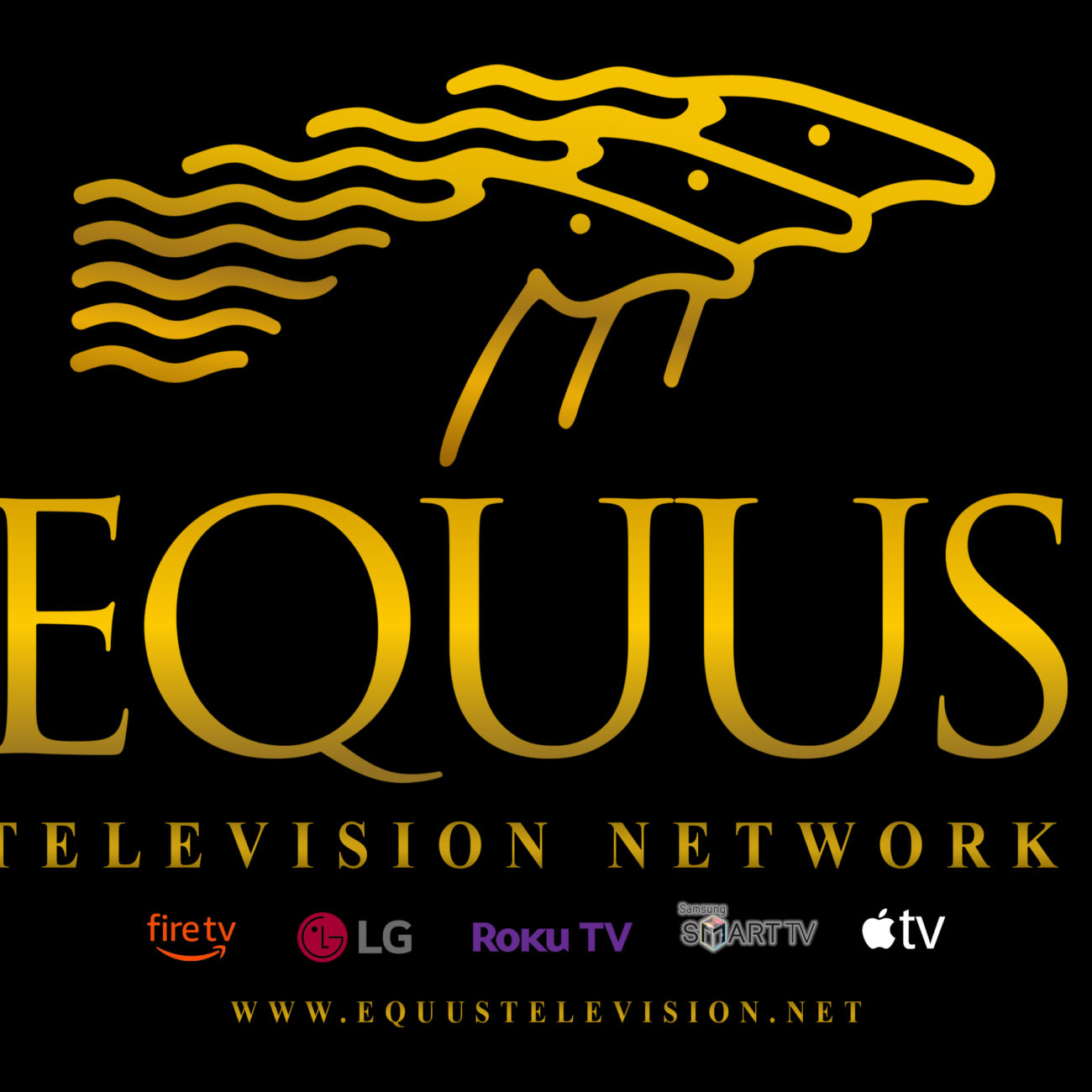 Contact – Equus.tv